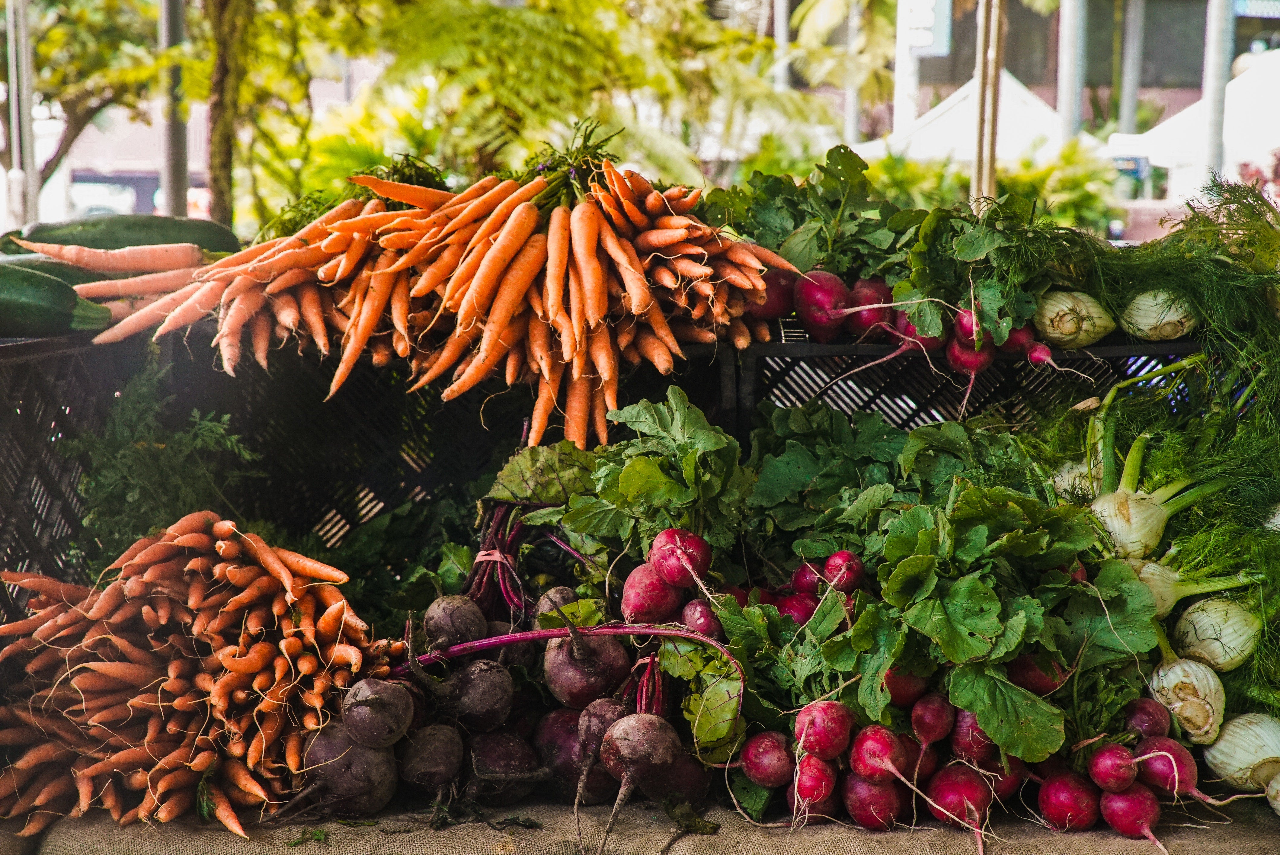 Vegetables, Legumes & Herbs – Green Zebra Markets